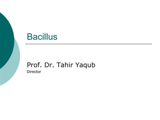 Medical Microbiology Laboratory (Clostridium spp.) | PDF