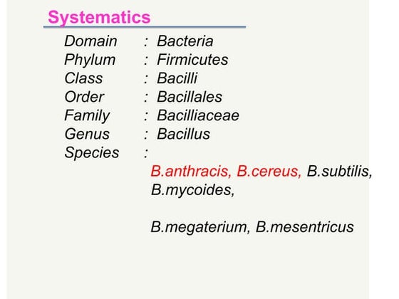Preservation of viscera | PPTX | Chemistry | Science