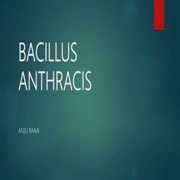 Bacillus anthracis | PPTX | Infectious Diseases | Diseases and Conditions