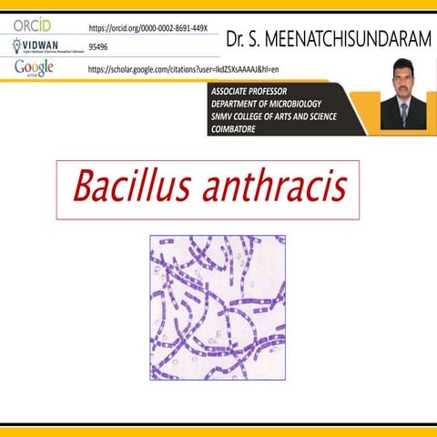 Clostridium spp. (Practical Medical Microbiology, 13) | PDF