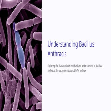 bacillus anthracis [ anthrax ] | PDF