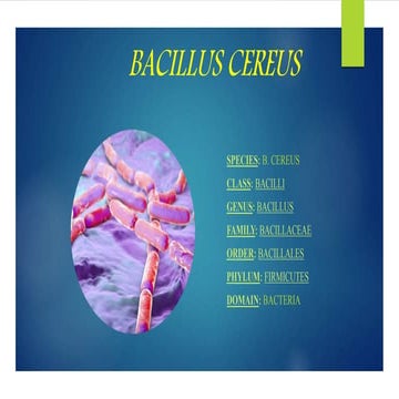 BACILLUS CEREUS.pptx