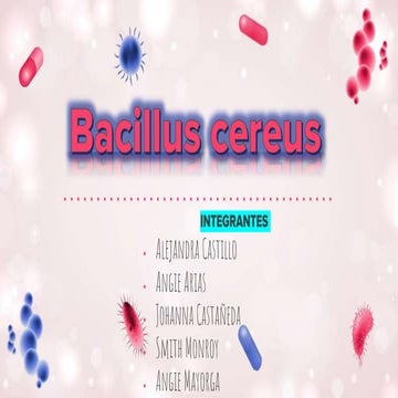 Bacillus cereus.pptx
