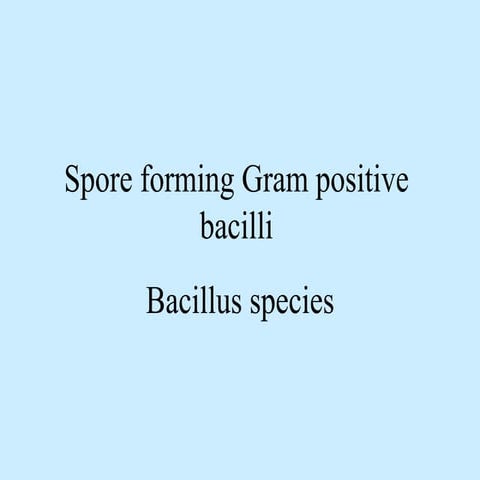 Bacillus spp..ppt....by..ali..rasool.badr