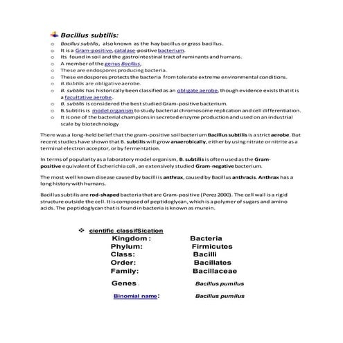 Bacillus subtilis | PDF