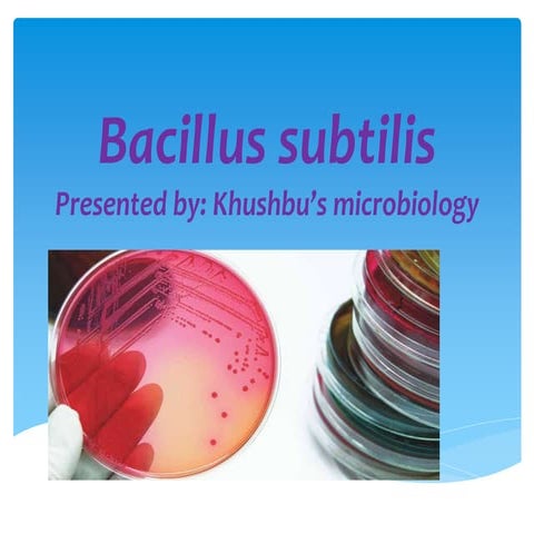 Bacillus subtilis | PPTX