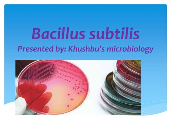 Bacillus species; the power points | PPTX