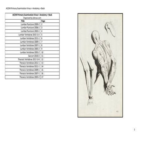 Back anatomy CST exam MRCS preperation for students | PDF