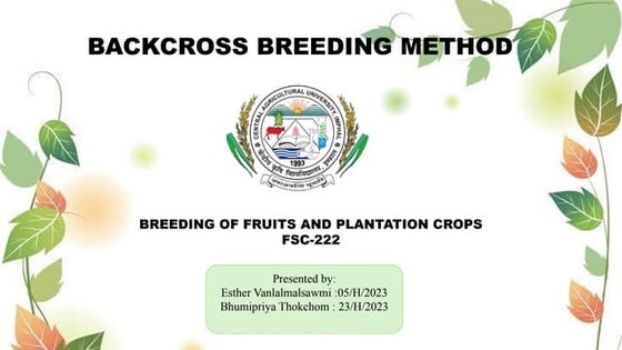 Back Cross Breeding Method | PPTX | Genetics | Science