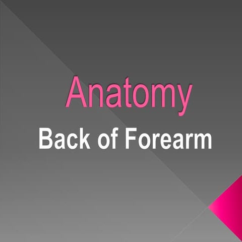 Anatomy of Back of fore arm and dorsum of hand | PDF