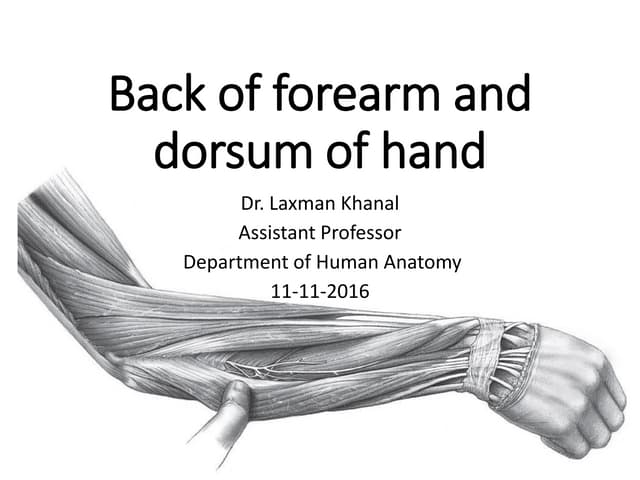 Iv cannulation sites | PDF