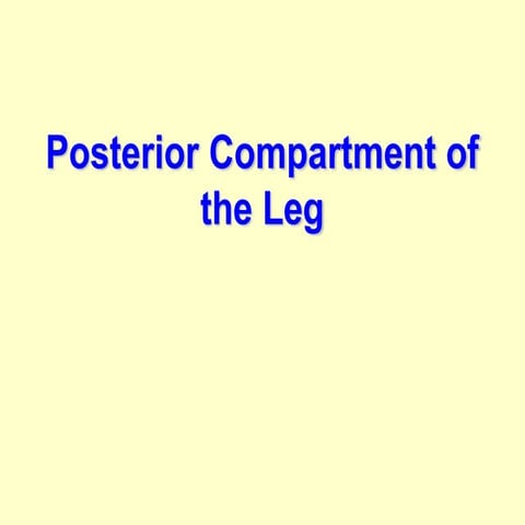Posterior compartment of leg (back of leg).pptx