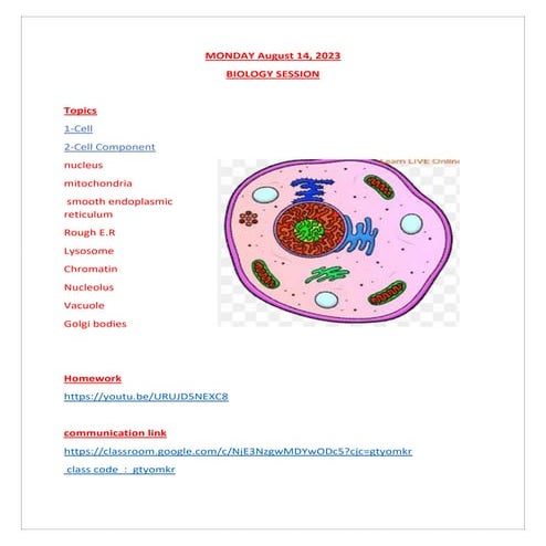 Back to school Summer course.pdf