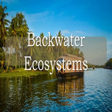 Backwater Ecosystems | PPTX