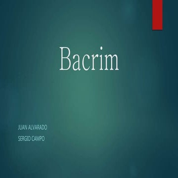 Las bacrim | PPTX
