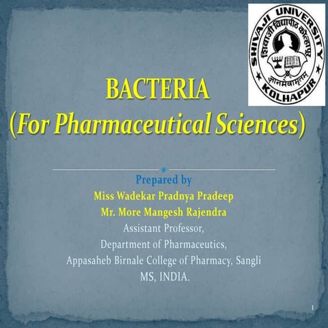 Bacteria | PPT