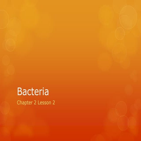 Gr.6 - Science - Ch1 L10 - The Importance of Bacteria.pdf