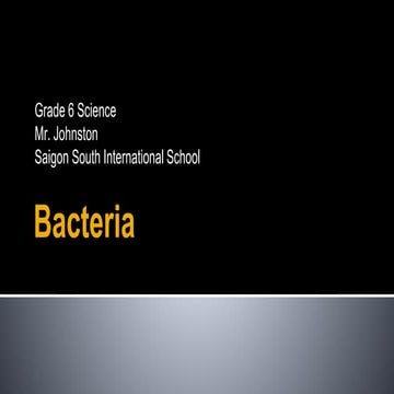 Gr.6 - Science - Ch1 L10 - The Importance of Bacteria.pdf