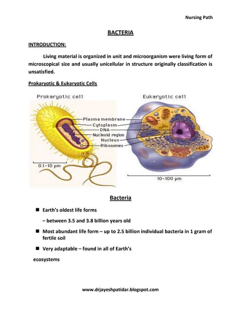 Head to-toe assessment | PDF | Ear, Nose and Throat Conditions ...