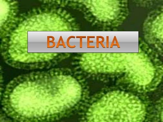 Classification of bacteria | PPTX | Biological Sciences | Science