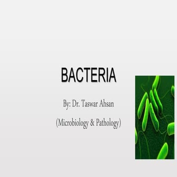 Bacteria | PPTX