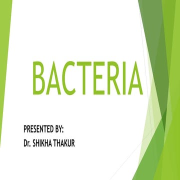 Bacteria | PPTX