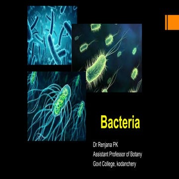 Bacteria | PPT