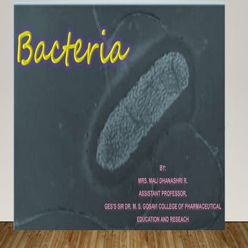 Bacteria | PPT