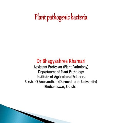 Plant pathogenic Bacteria | PPTX