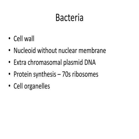 Bacteria.pptx