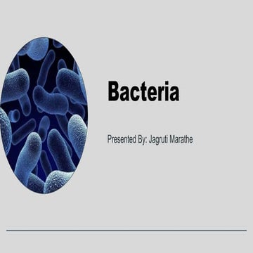 Bacteria.pptx