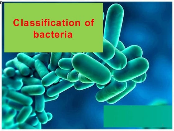 Classification of bacteria | PPTX | Biological Sciences | Science