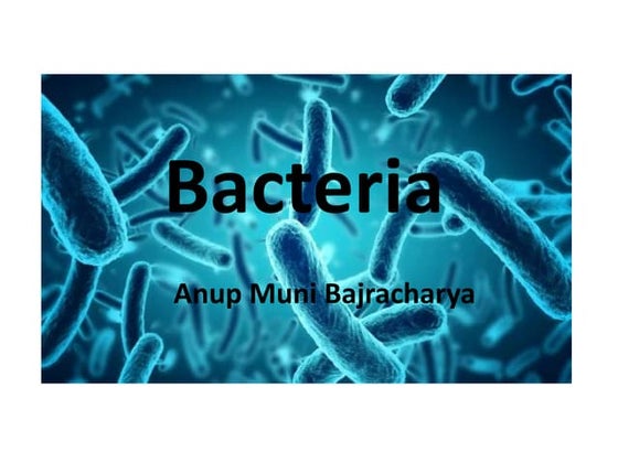 Structure of bacterial cell | PPTX