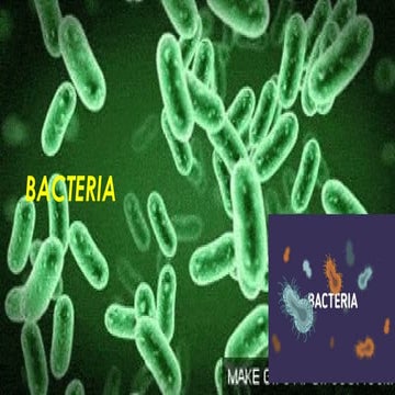 STRUCTURE OF BACTERIA AND ITS METABOLISM | PPT