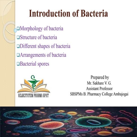 Bacteria, Different sizes and Shapes of of bacteria | PDF