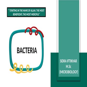 Eubacteria | PPTX