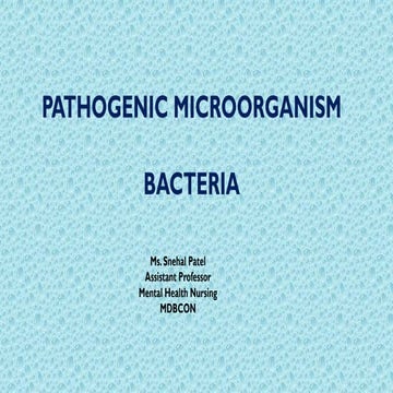 Lesson Plan_Dinh Xuan Bac_LW5_Unit 2_Review_PPT.pptx
