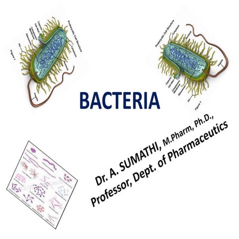General characters of bacteria and clasification | PPTX