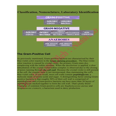 Bacteria - FULL INFO- | DOC