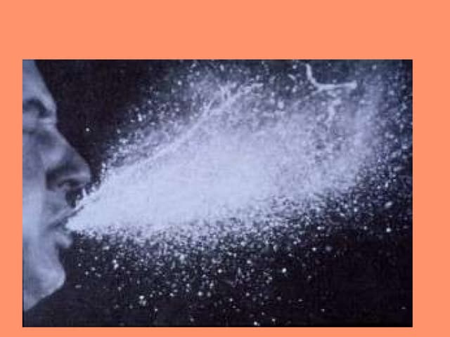 Viruses and Bacteria | PPTX