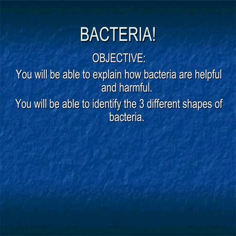 Bacteria 2010 | PPT
