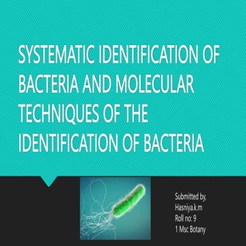 Systematic identification of bacteria and molecular techniques for the identification of the ...