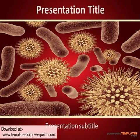 Bacteria | PPT
