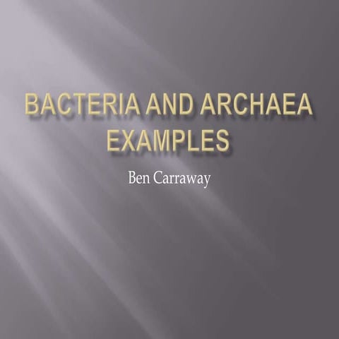 Bacteria and archaea examples | PPT