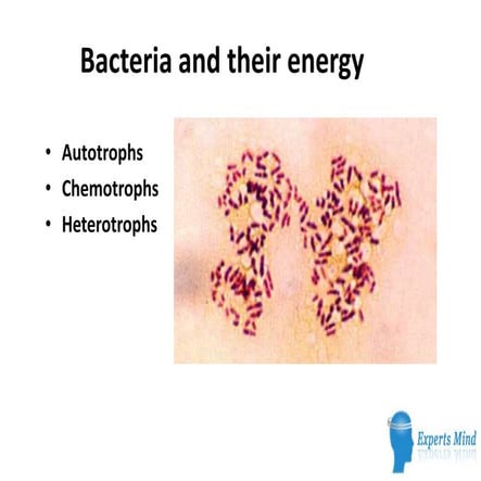 Bacteria and their energy | PPTX