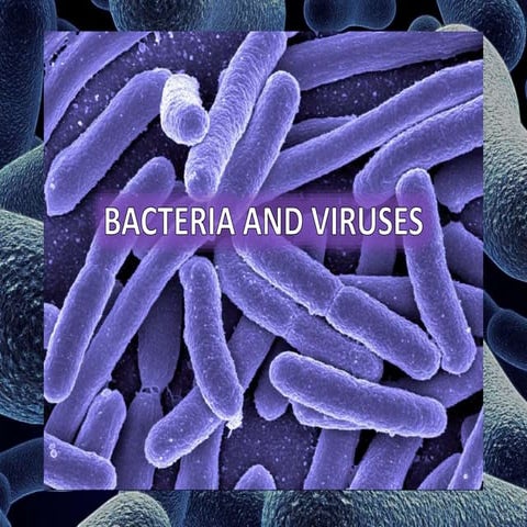 Bacteria and viruses | PPT
