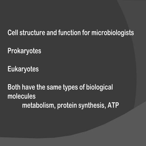 Bacteria Cell Structure And Function Ppt