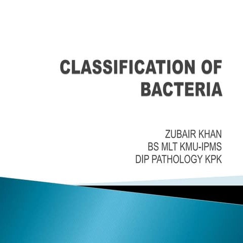 Bacteria classification | PPTX