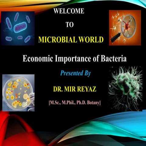 Economic importance of bacteria | PPTX