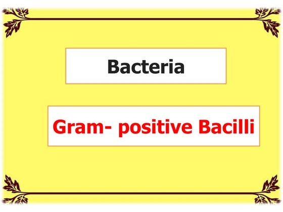 Bacteria Gram-Negative Bacilli Oxidase - | PPT